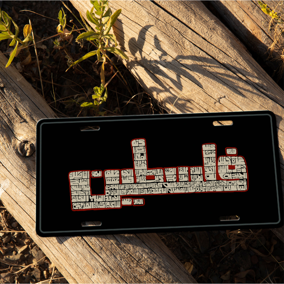 Car Plates - palestine – Fovero